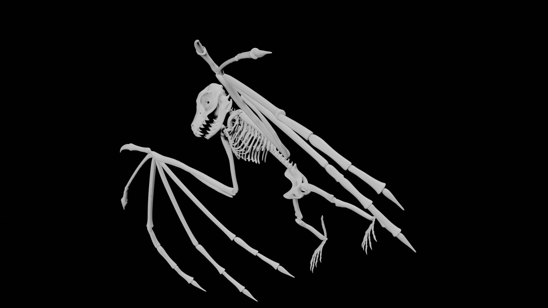 3D Rigged Bat Skeleton - TurboSquid 1839722