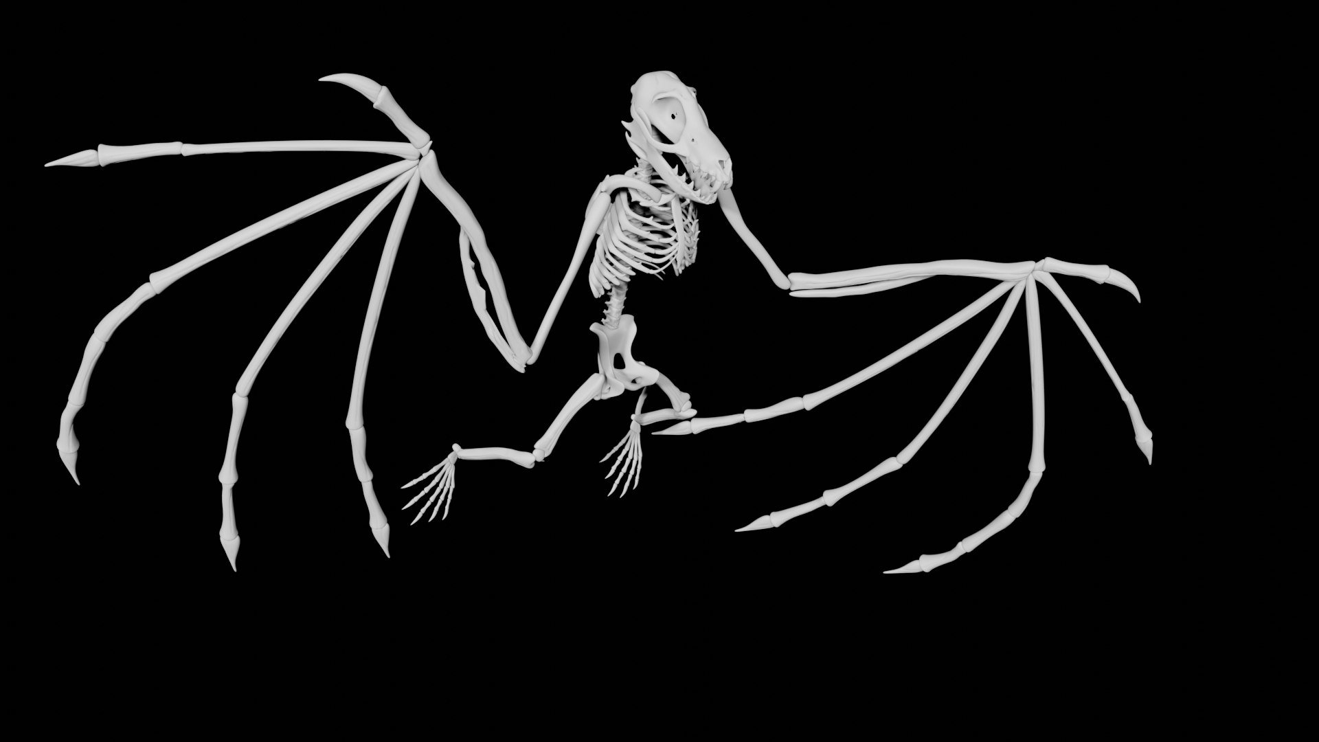 3D Rigged Bat Skeleton - TurboSquid 1839722