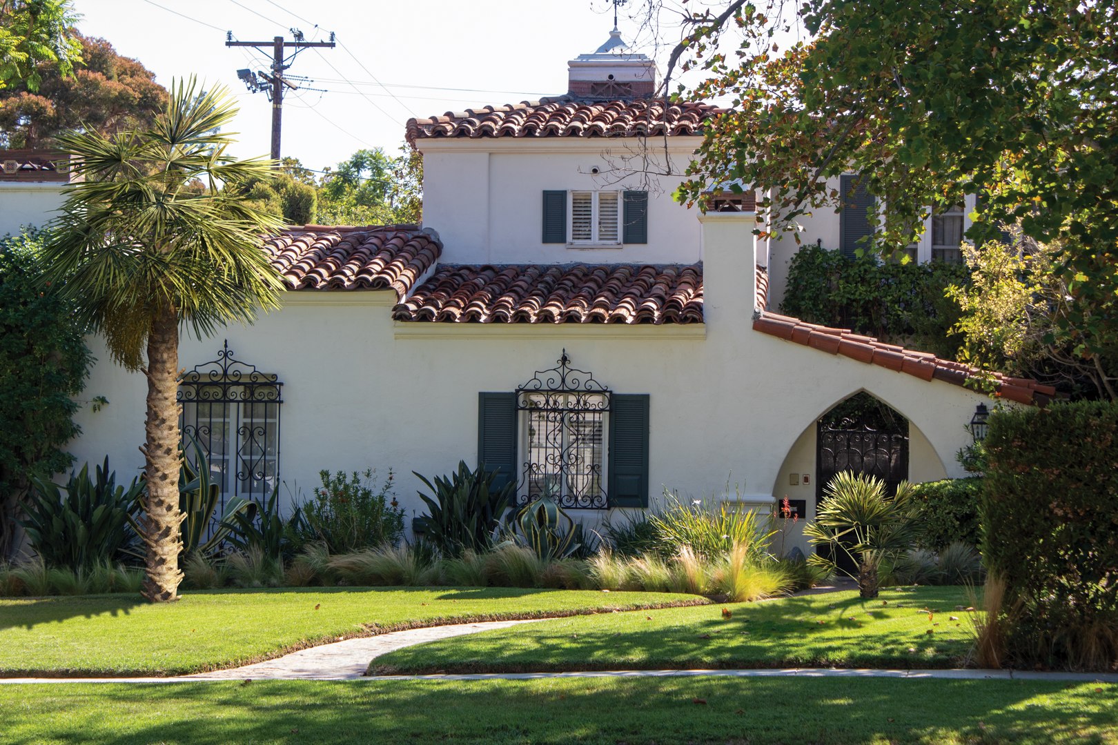 2021 PBR Chinese Windmill Palm Collection - Trachycarpus Fortunei 3D ...