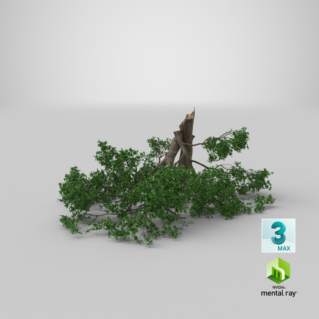 3D Fallen Trees - TurboSquid 2028442