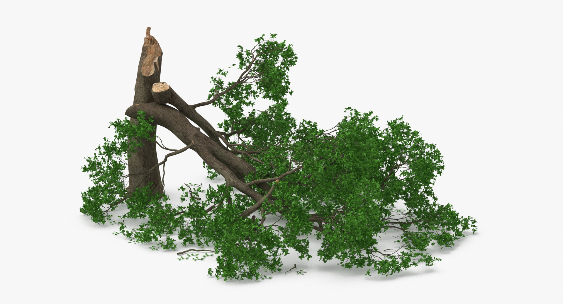 3D Fallen Trees - TurboSquid 2028442