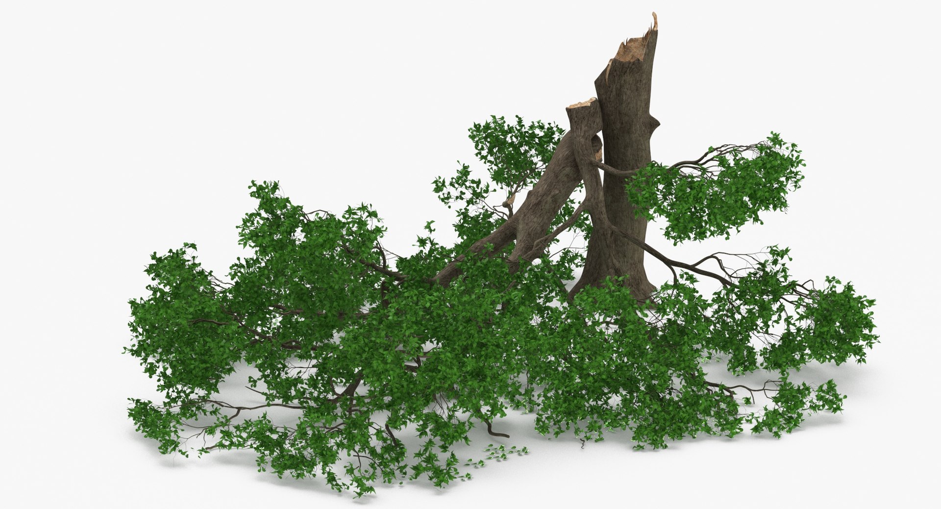 3D Fallen Trees - TurboSquid 2028442
