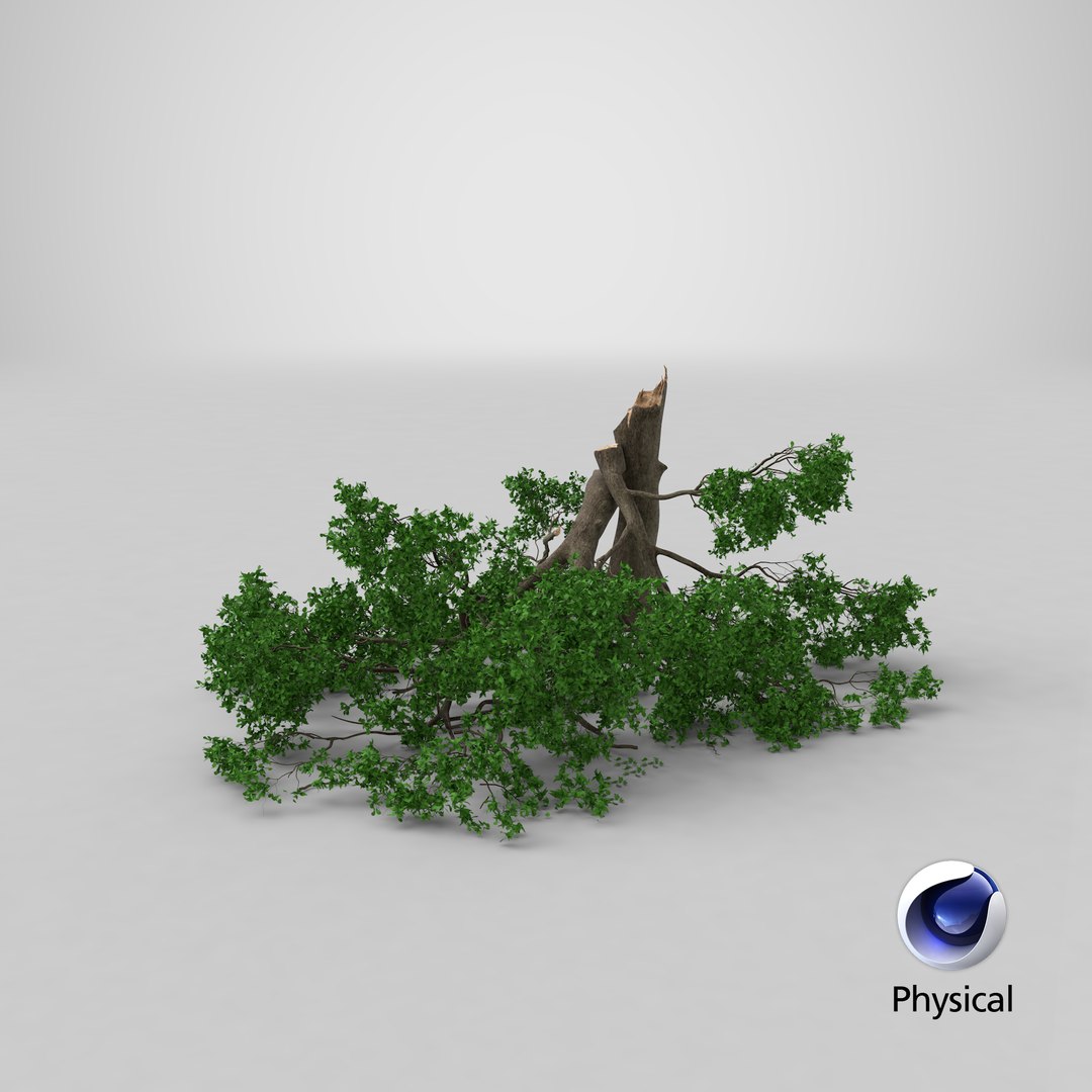 3D Fallen Trees - TurboSquid 2028442