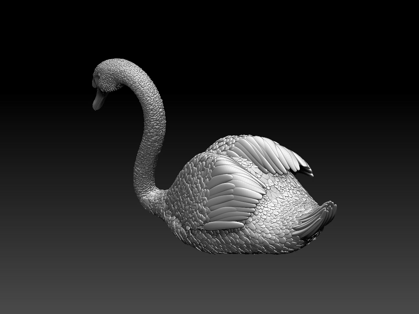3D Swan Birds Art - TurboSquid 1647522