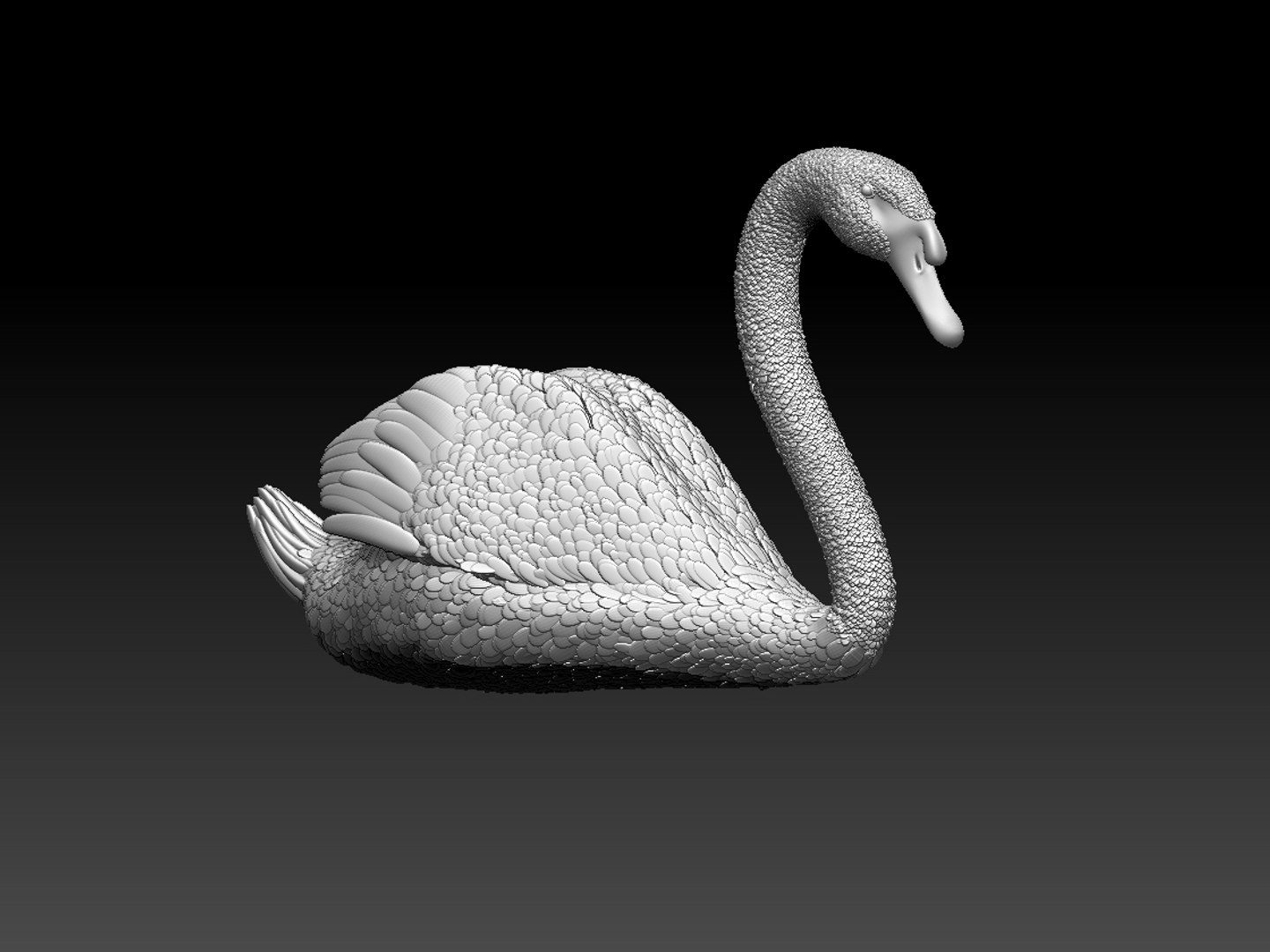 3D Swan Birds Art - TurboSquid 1647522
