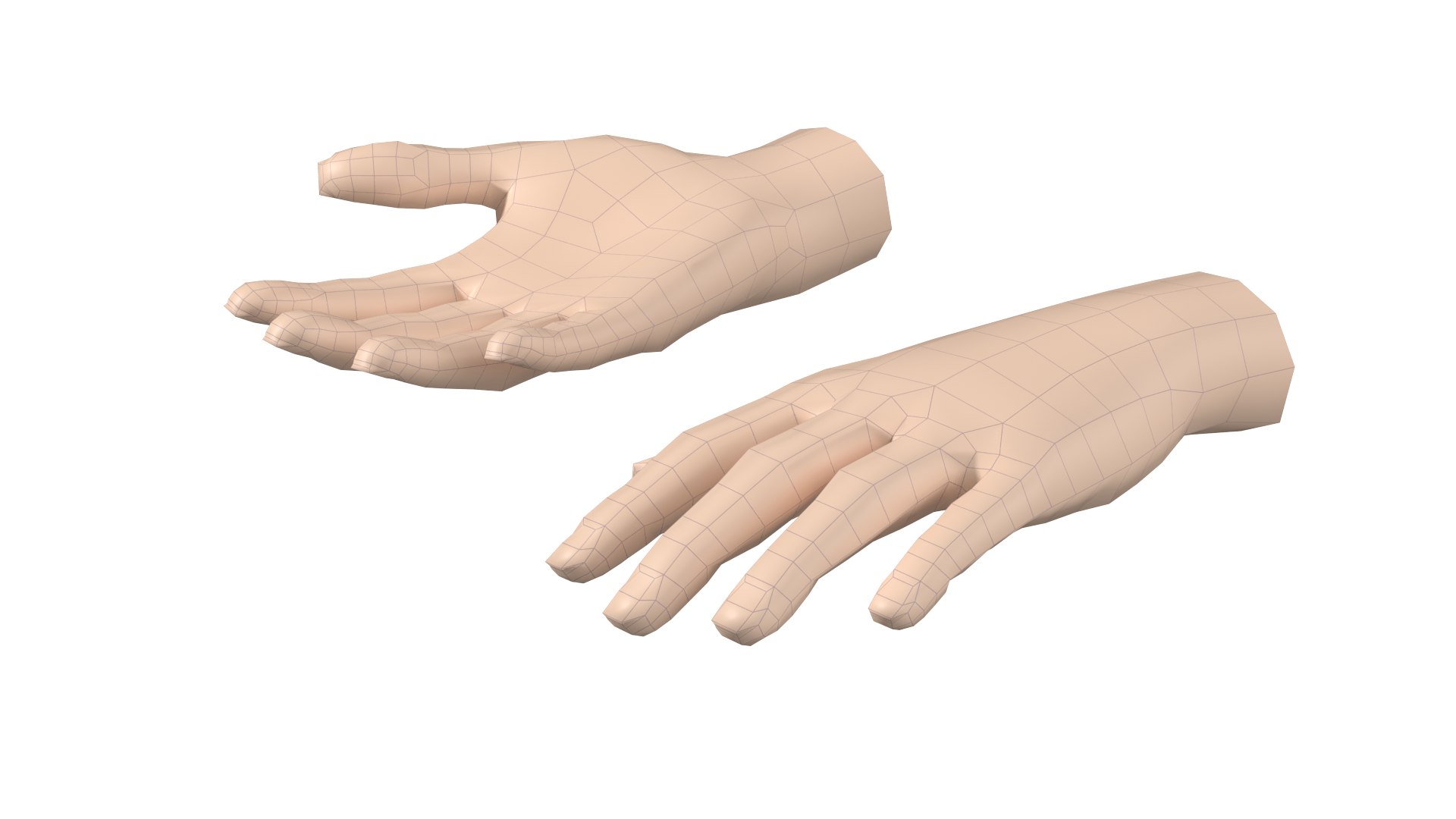 Female Hand Base Mesh 07 3D Model - TurboSquid 2184245