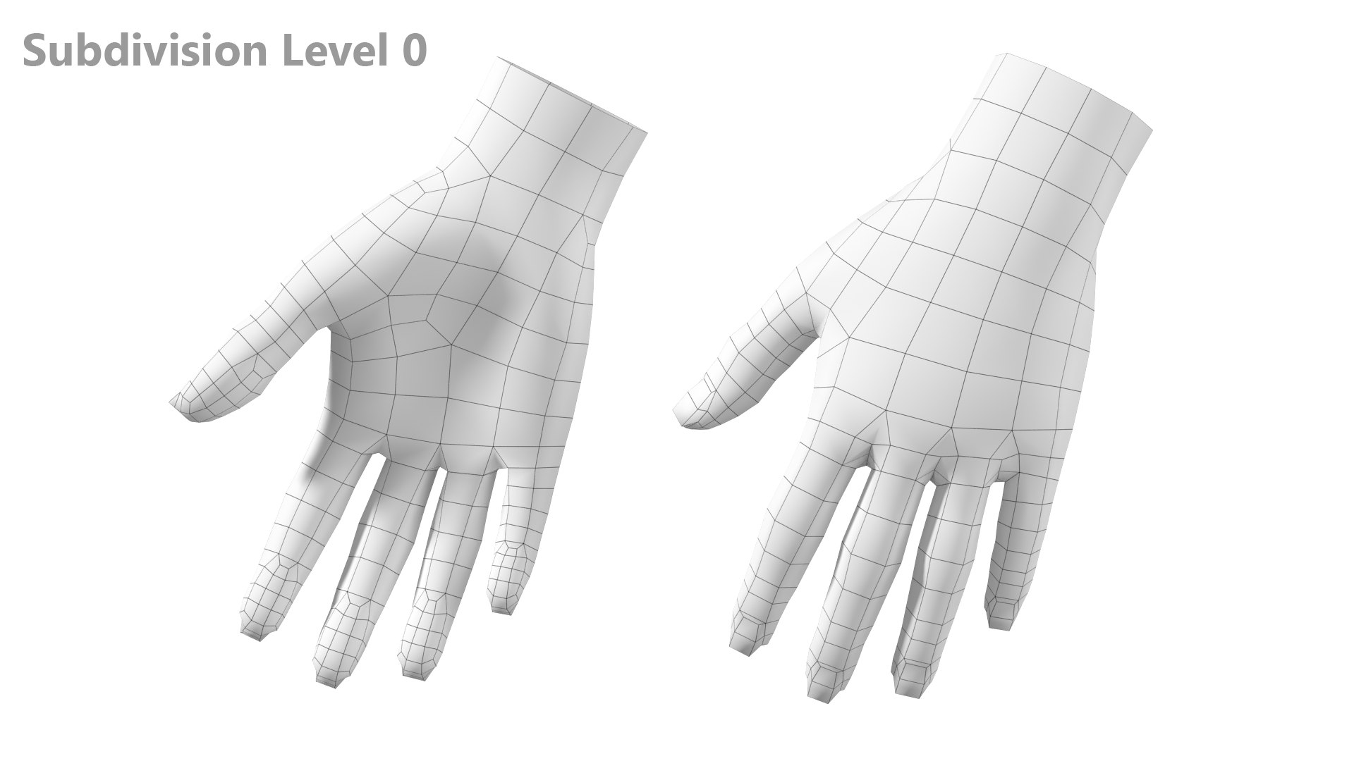 Female Hand Base Mesh 07 3D Model - TurboSquid 2184245