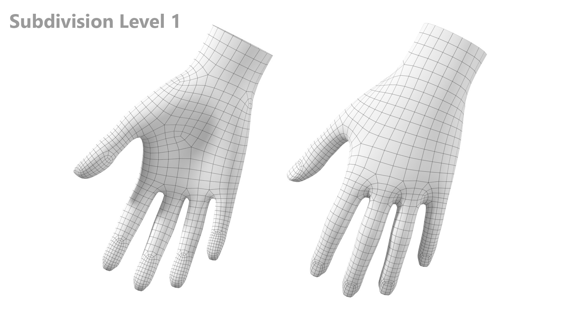 Female Hand Base Mesh 07 3D Model - TurboSquid 2184245