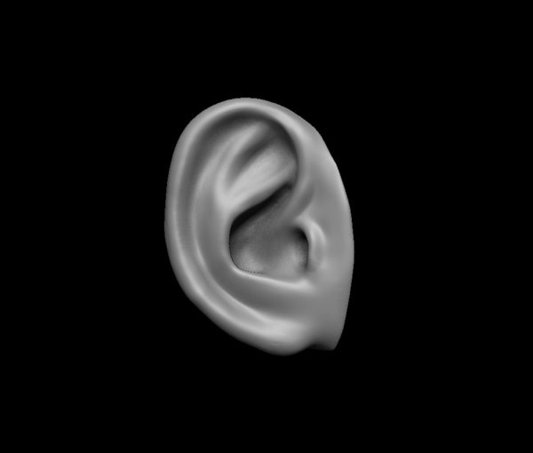 Free sample 3 ears 3D model - TurboSquid 1418756