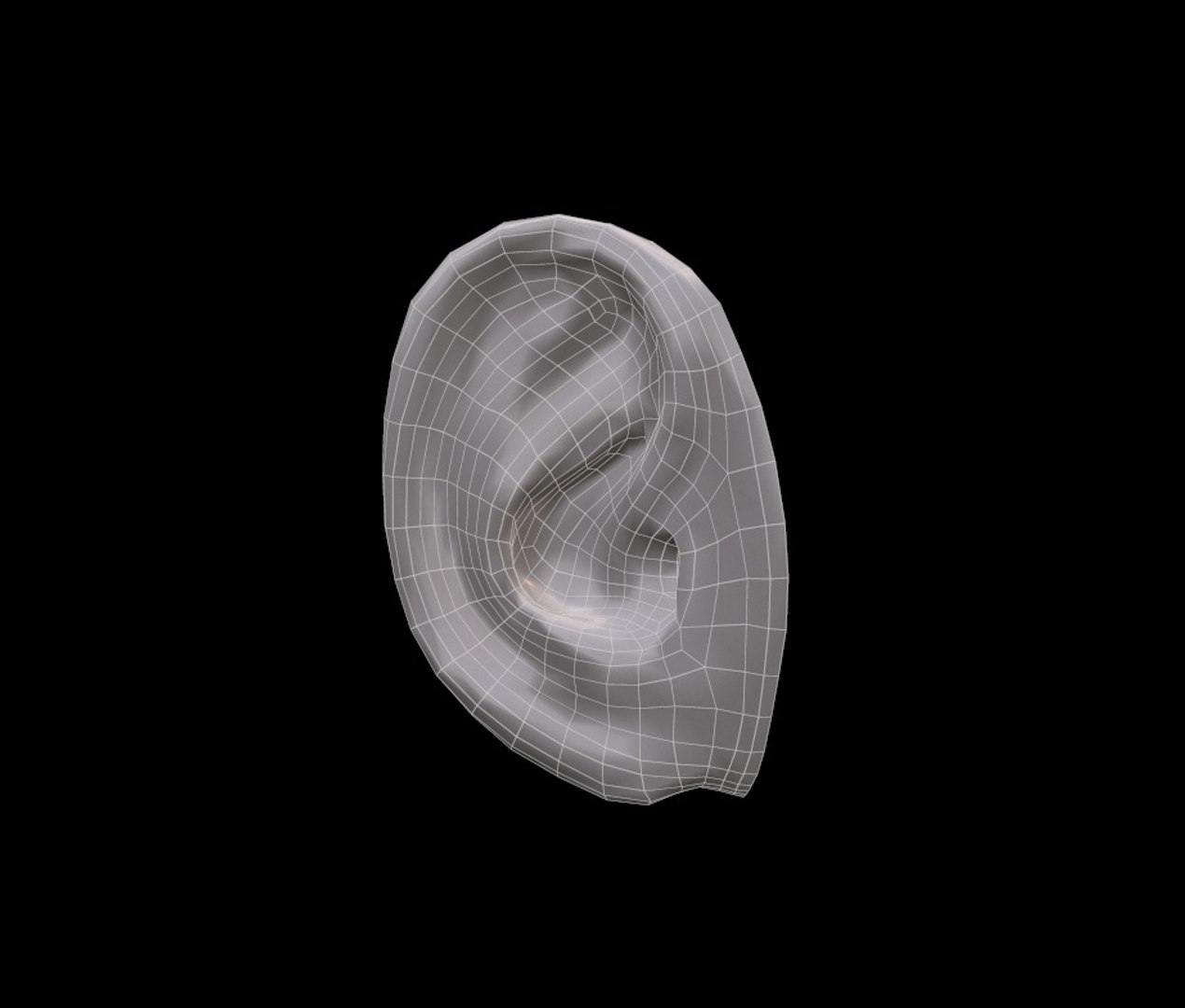 Free Sample 3 Ears 3D Model - TurboSquid 1418756