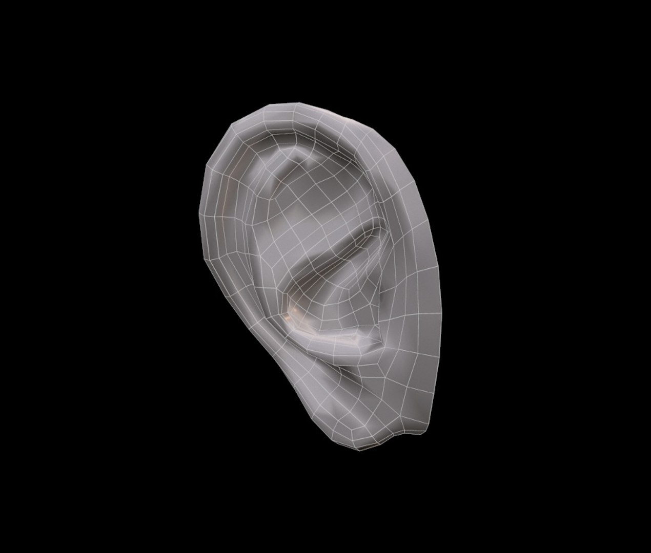 Free Sample 3 Ears 3D Model - TurboSquid 1418756