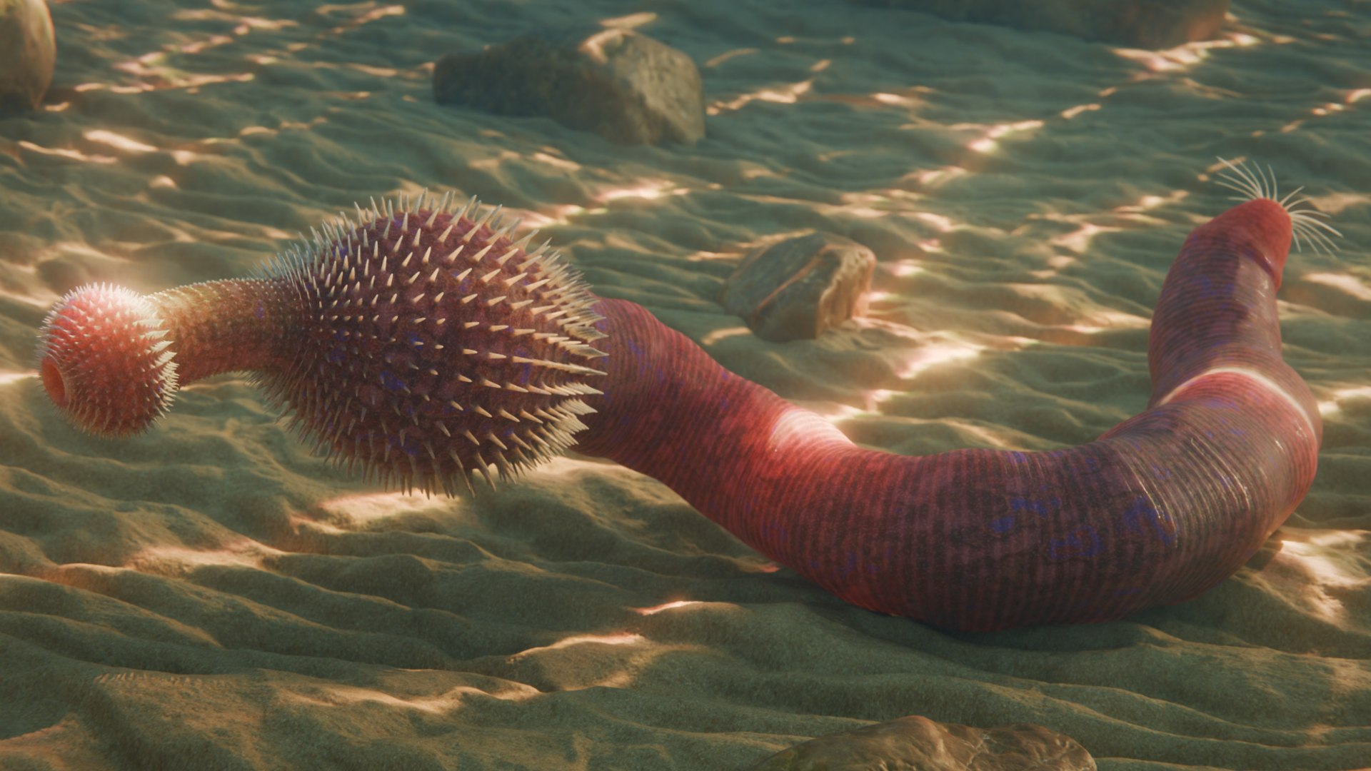 Ottoia 3D - TurboSquid 2330579