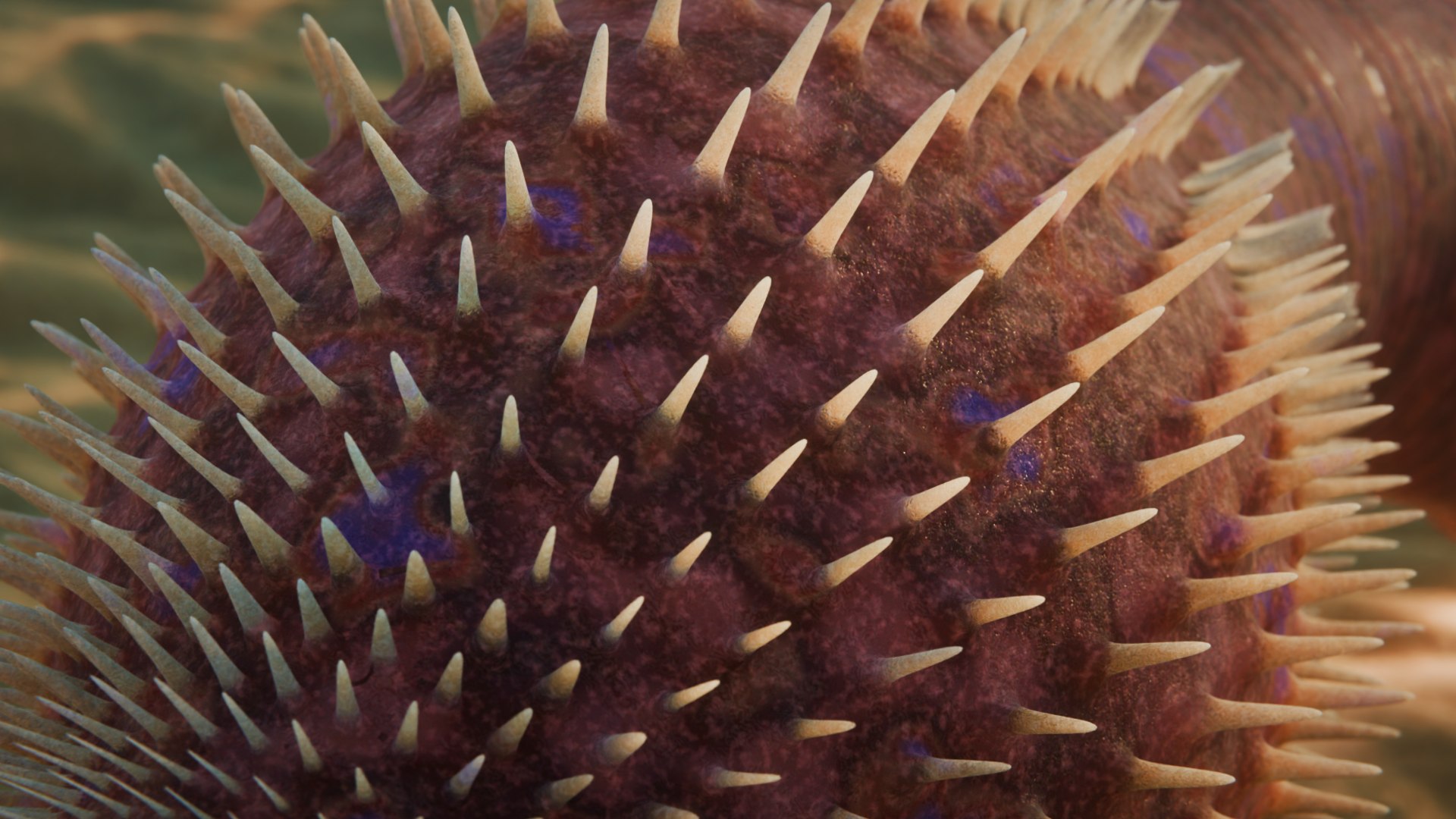 Ottoia 3D - TurboSquid 2330579