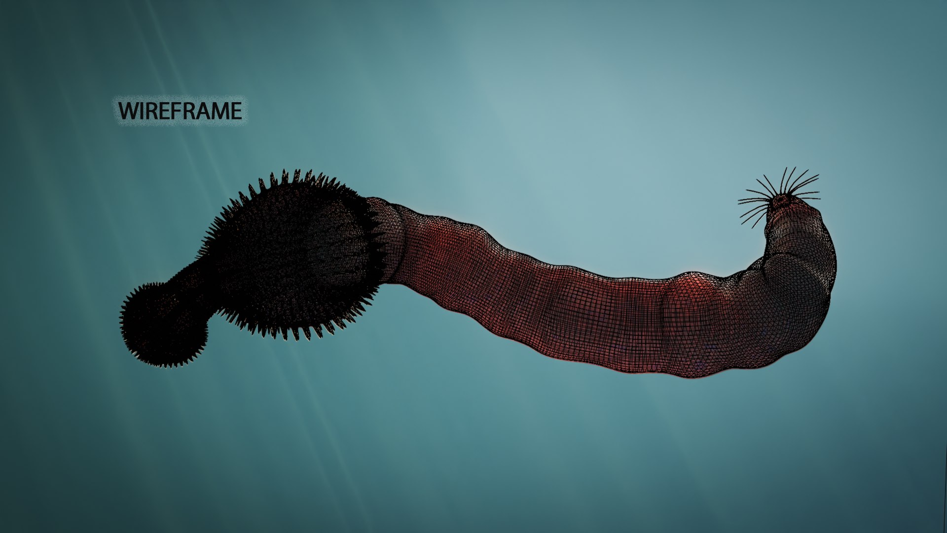 Ottoia 3D - TurboSquid 2330579