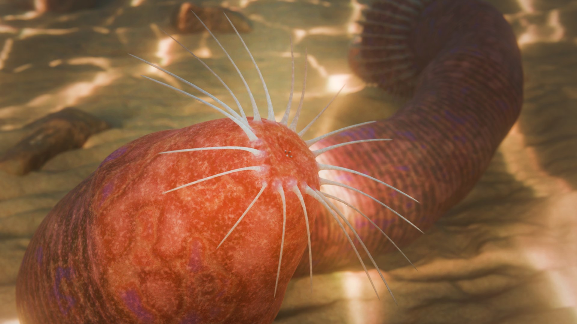 Ottoia 3D - TurboSquid 2330579