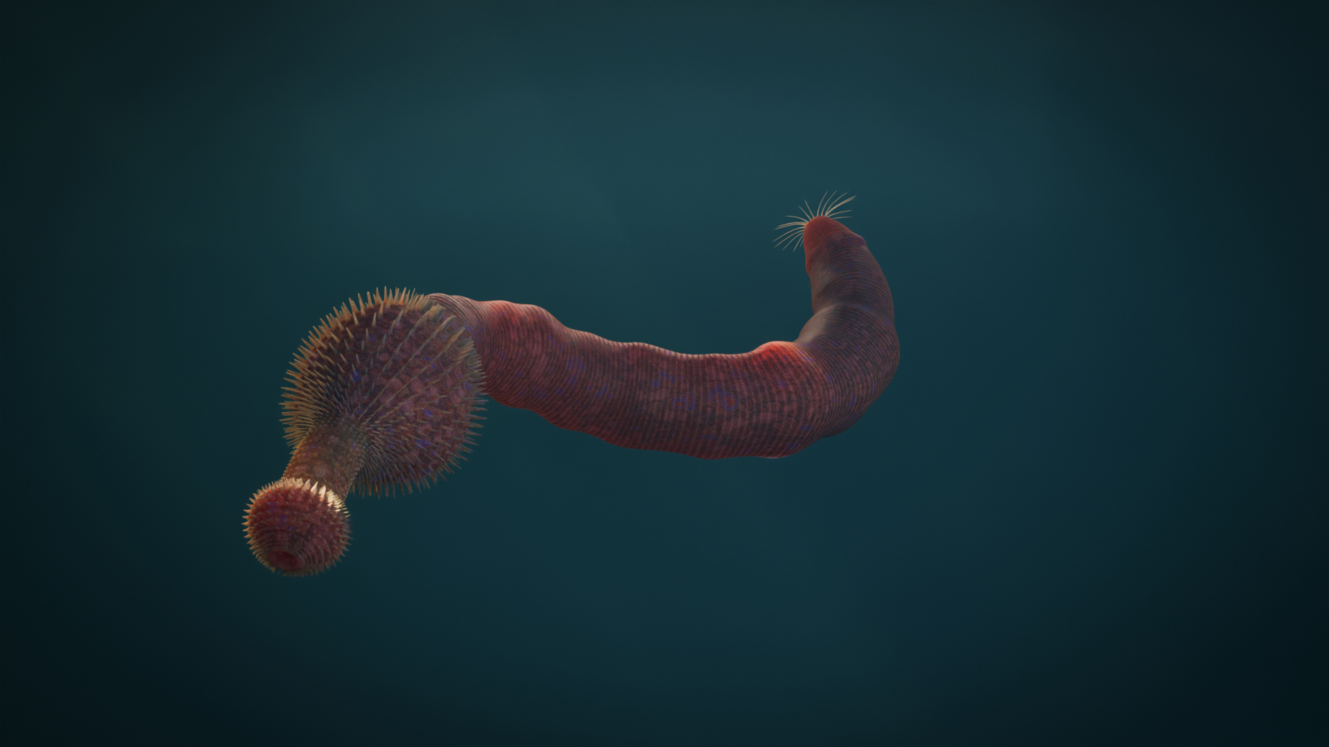 Ottoia 3D - TurboSquid 2330579