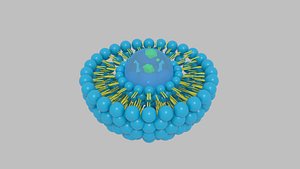 3D Liposome Models - Browse & Download Formats - TurboSquid