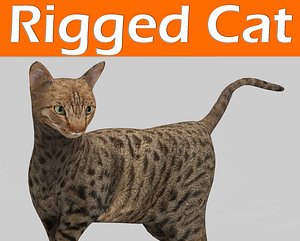 Cat rigged animation 3D model - TurboSquid 1204432