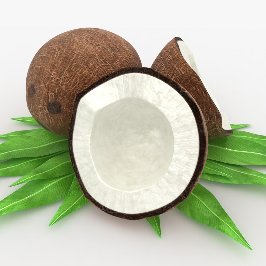 Coconut Coco Nut 3d 3ds