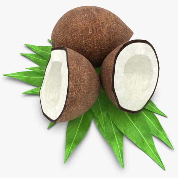 Coconut 3D Models for Download | TurboSquid