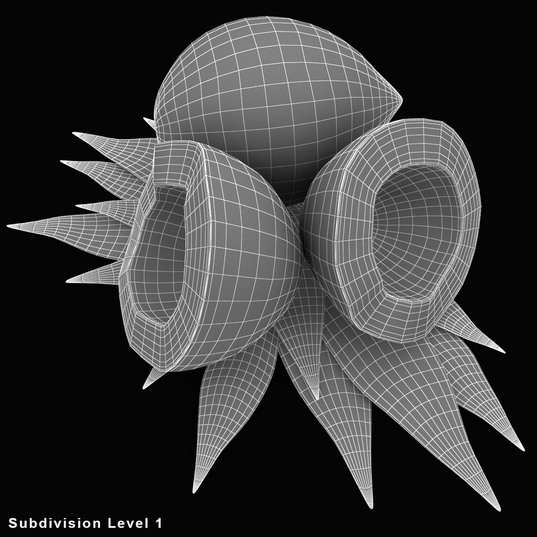 Coconut Coco Nut 3d 3ds