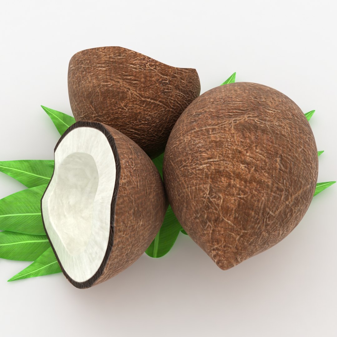 Coconut Coco Nut 3d 3ds