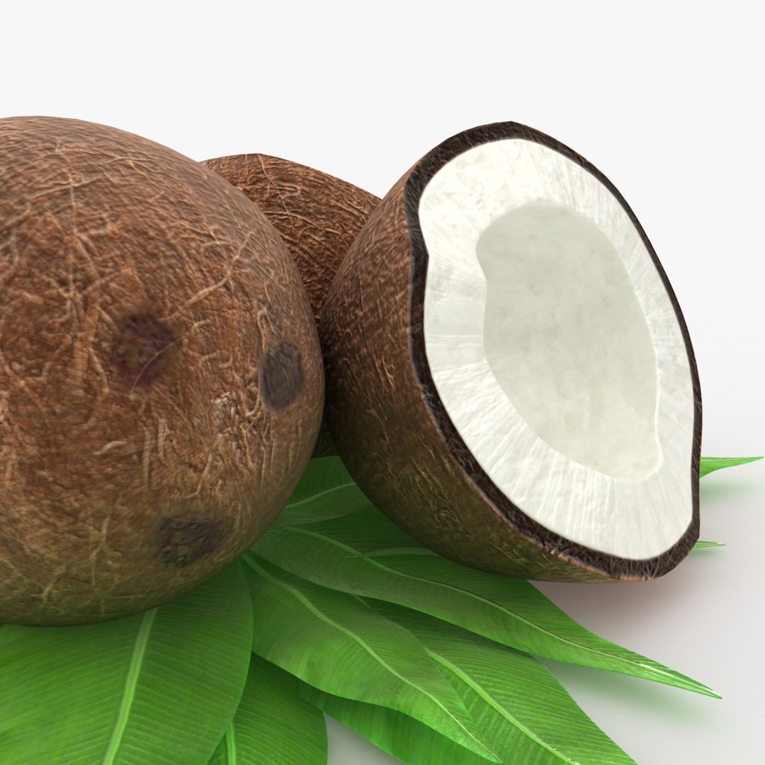 Coconut Coco Nut 3d 3ds