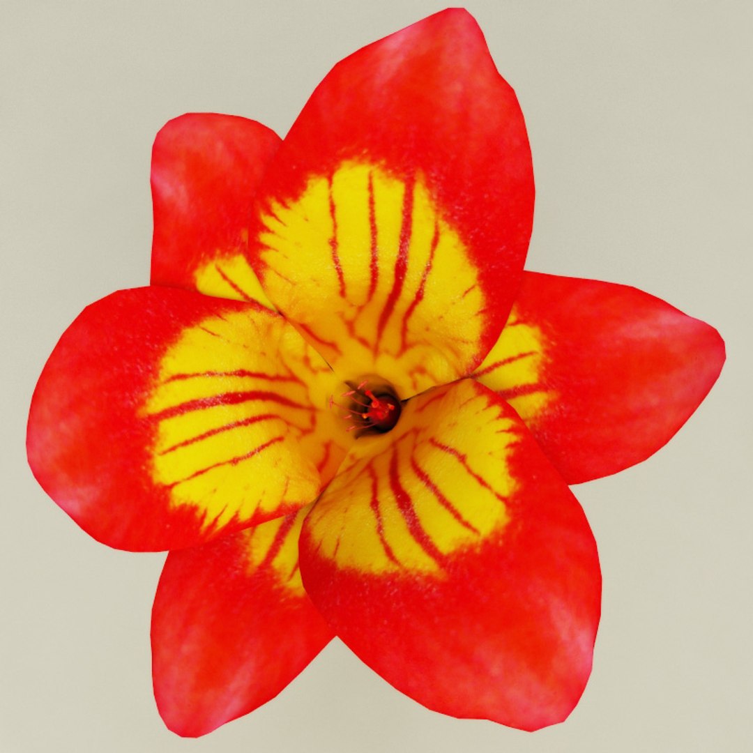 3d Freesia V2 Model