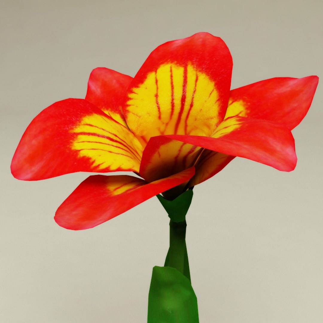 3d Freesia V2 Model