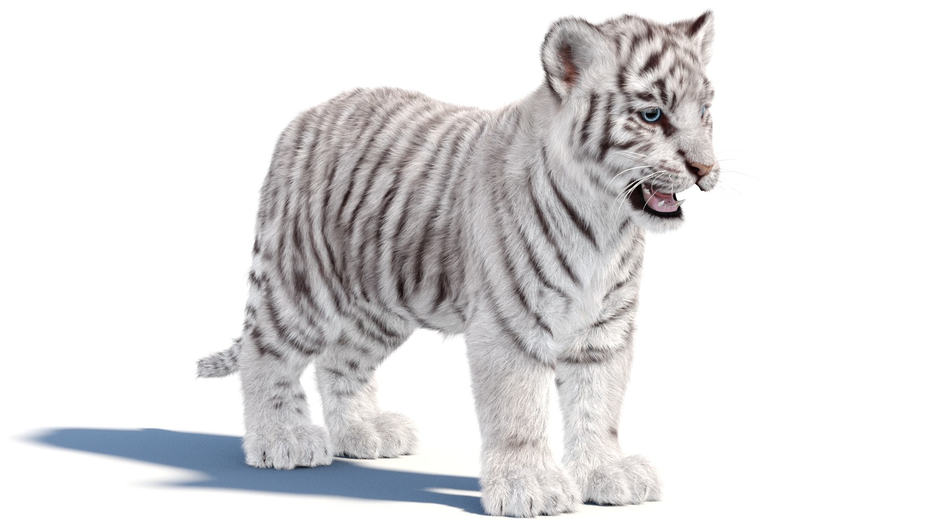 3D White Tiger Cub 3D Model Fur - TurboSquid 2341450