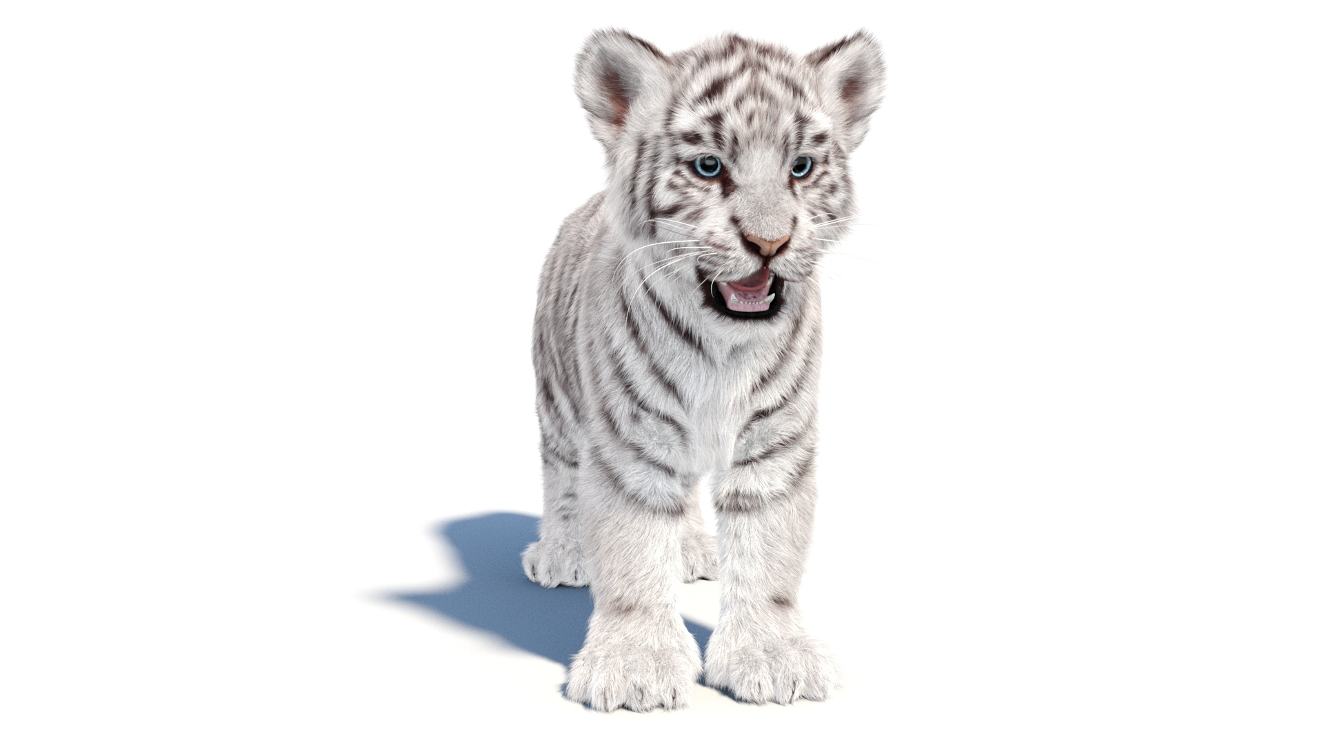 3D White Tiger Cub 3D Model Fur - TurboSquid 2341450