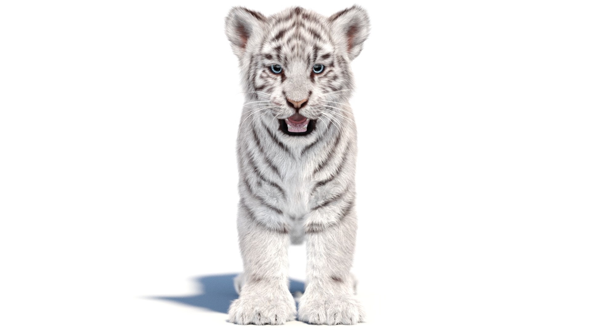 3D White Tiger Cub 3D Model Fur - TurboSquid 2341450