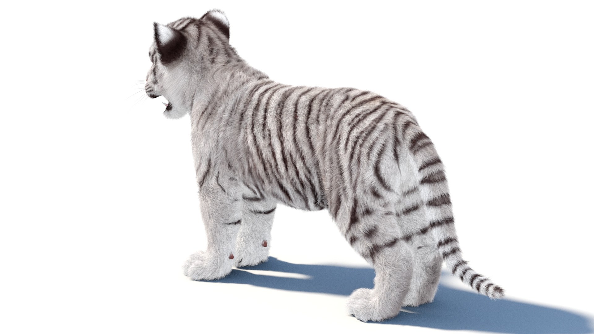 3D White Tiger Cub 3D Model Fur - TurboSquid 2341450