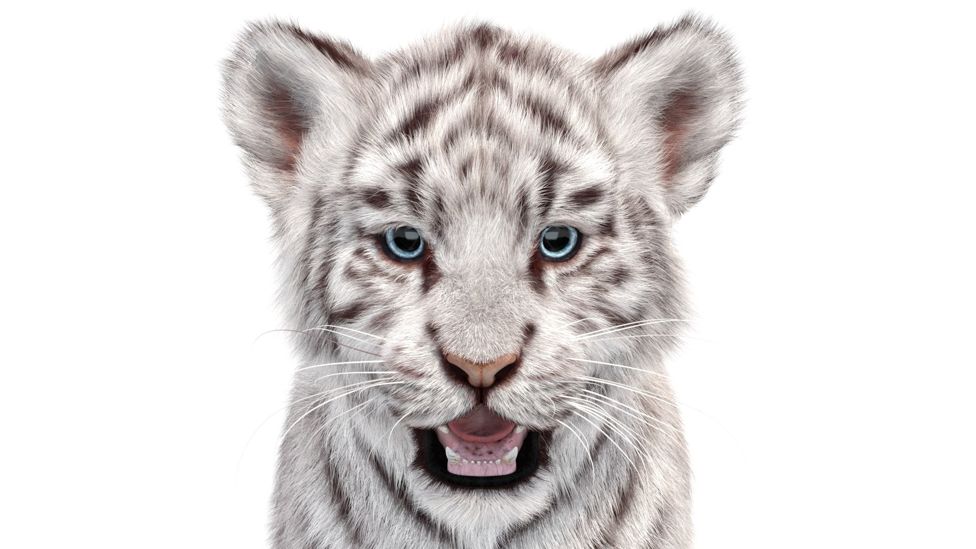 3D White Tiger Cub 3D Model Fur - TurboSquid 2341450