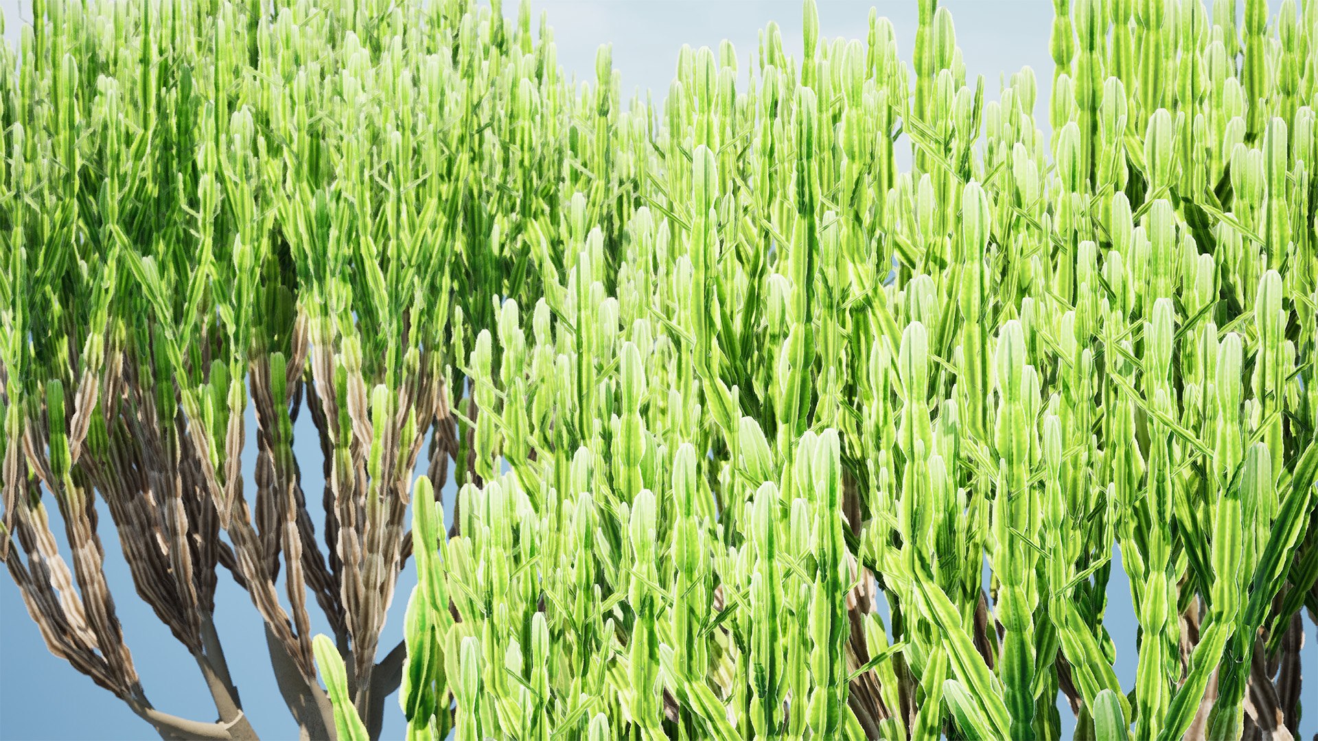 Naga Tree 3D Model 3D - TurboSquid 2307072