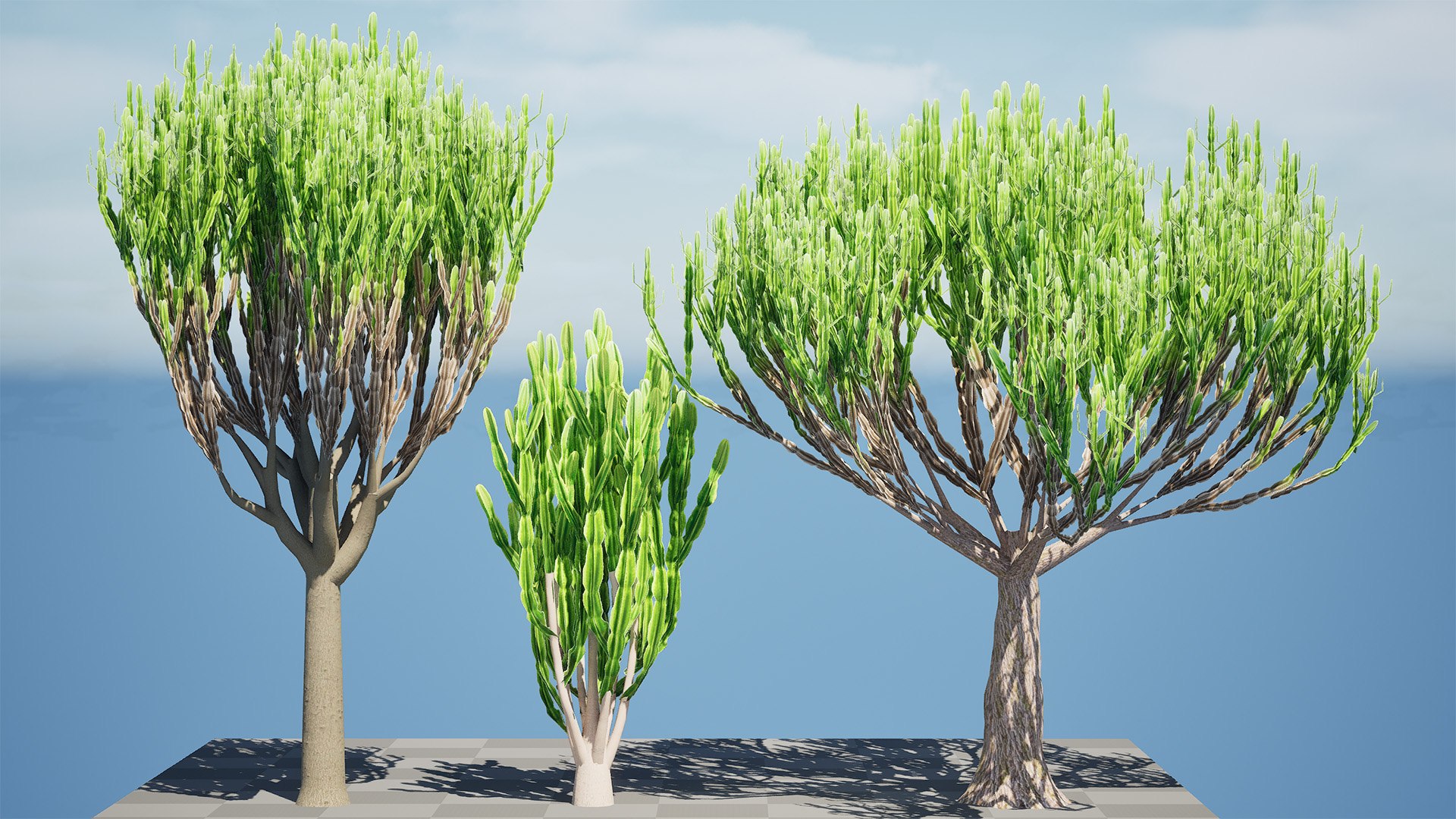 Naga Tree 3D Model 3D - TurboSquid 2307072