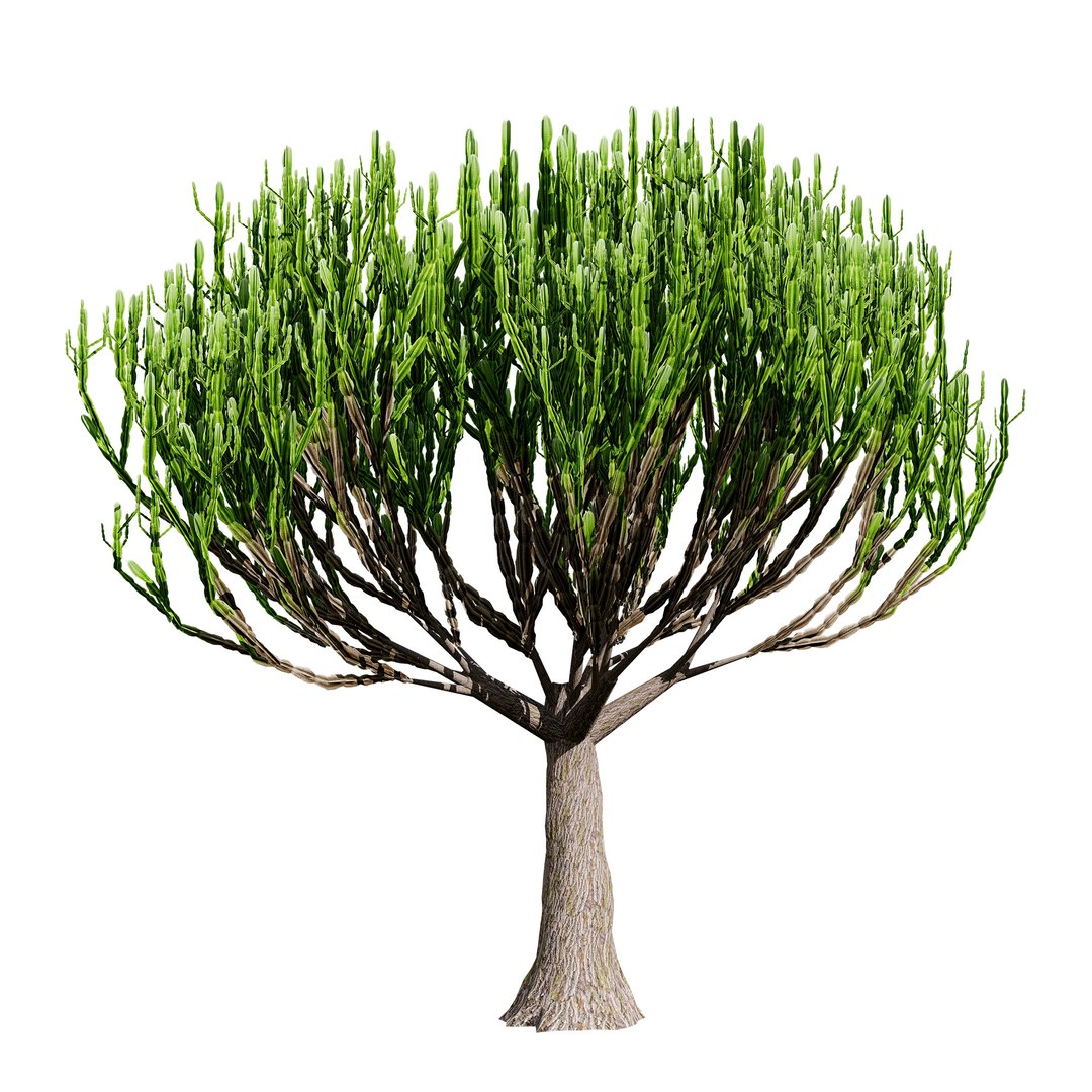 Naga Tree 3D Model 3D - TurboSquid 2307072