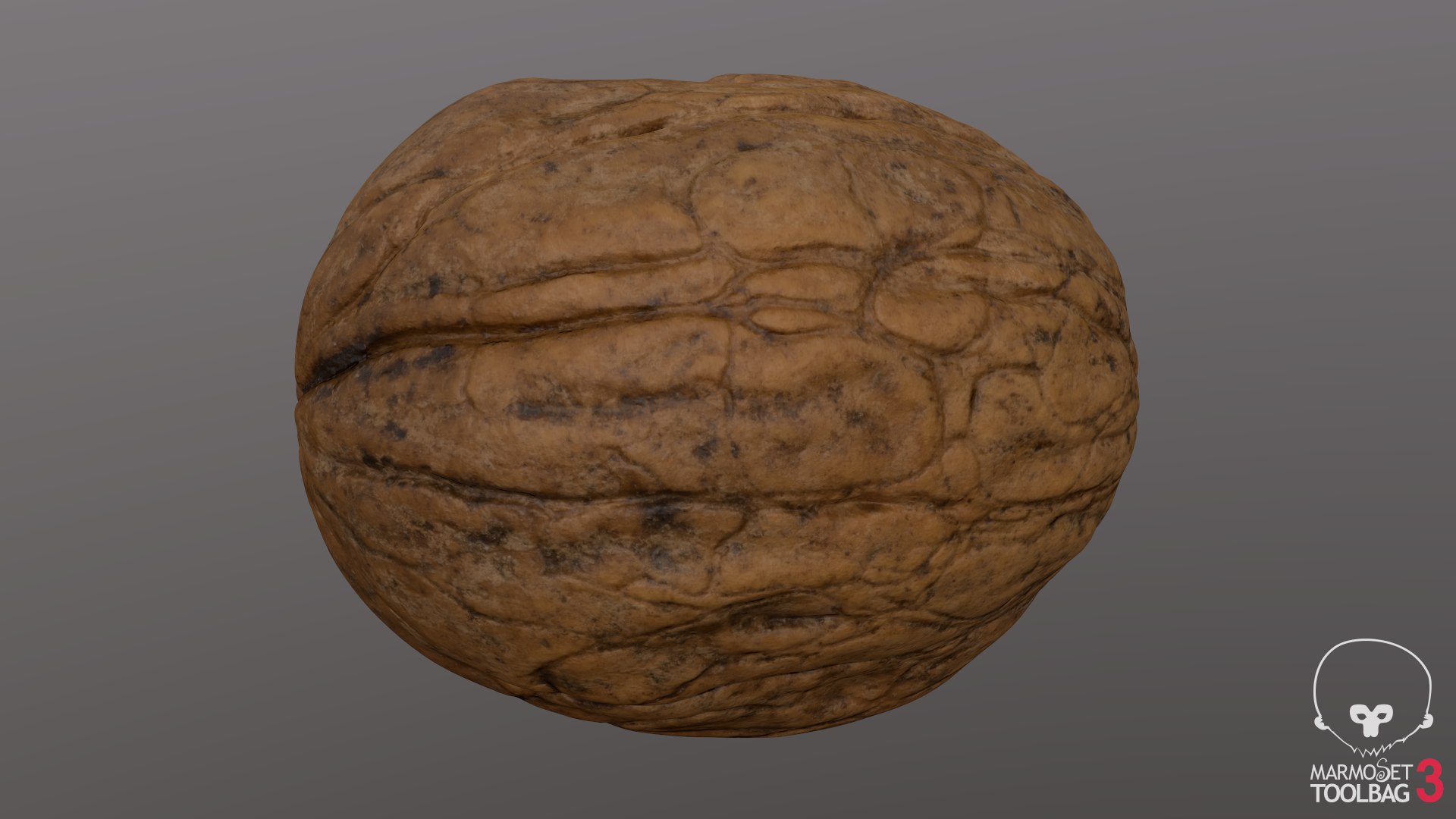 3D Walnut - TurboSquid 1976857