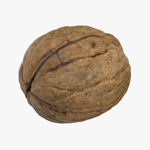 3D Walnut Models - Browse & Download Formats - TurboSquid