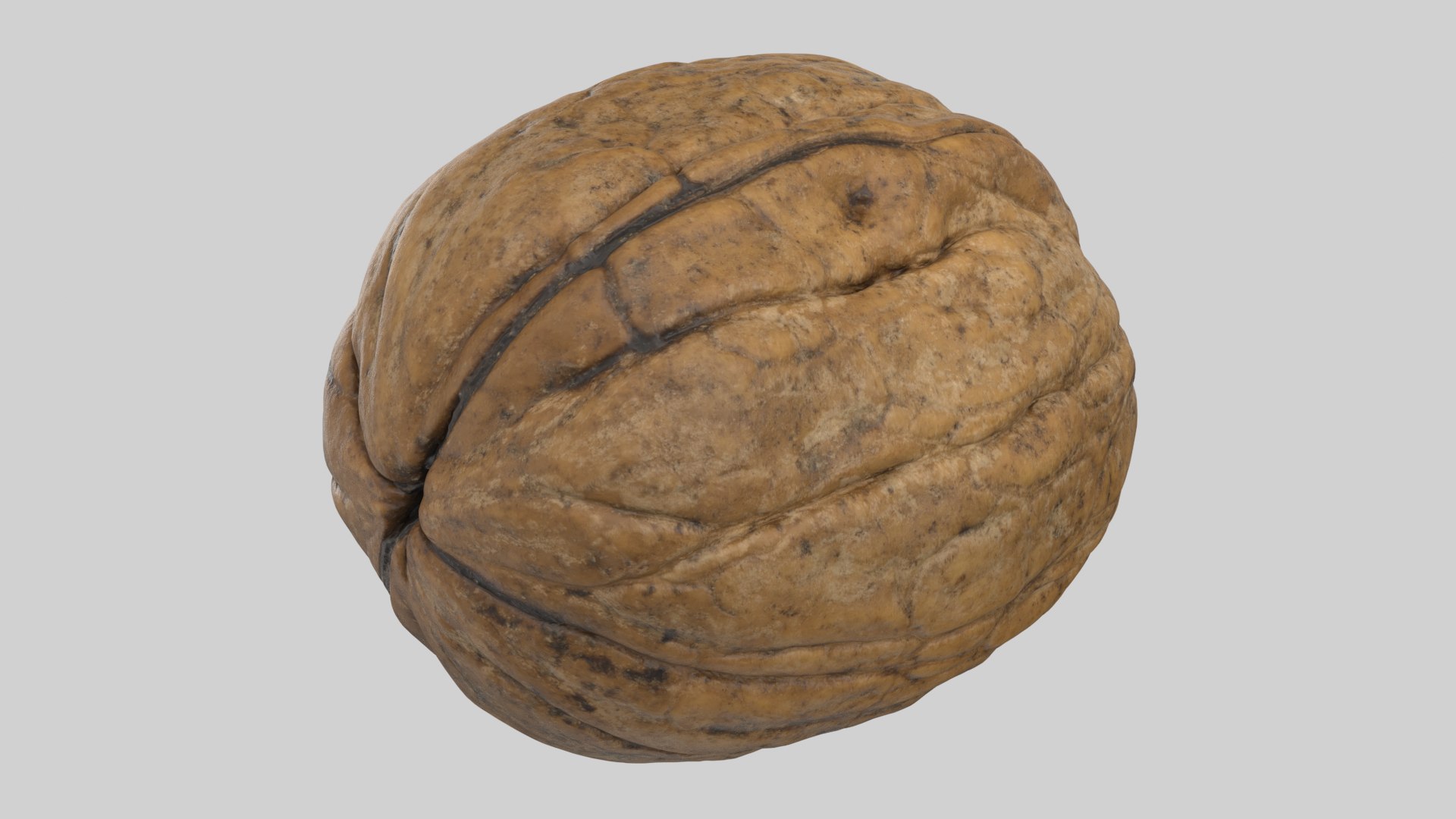 3D Walnut - TurboSquid 1976857