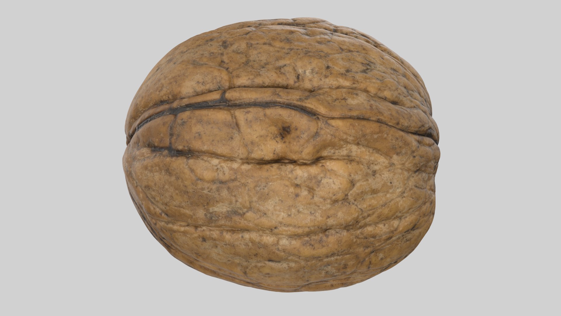 3D Walnut - TurboSquid 1976857