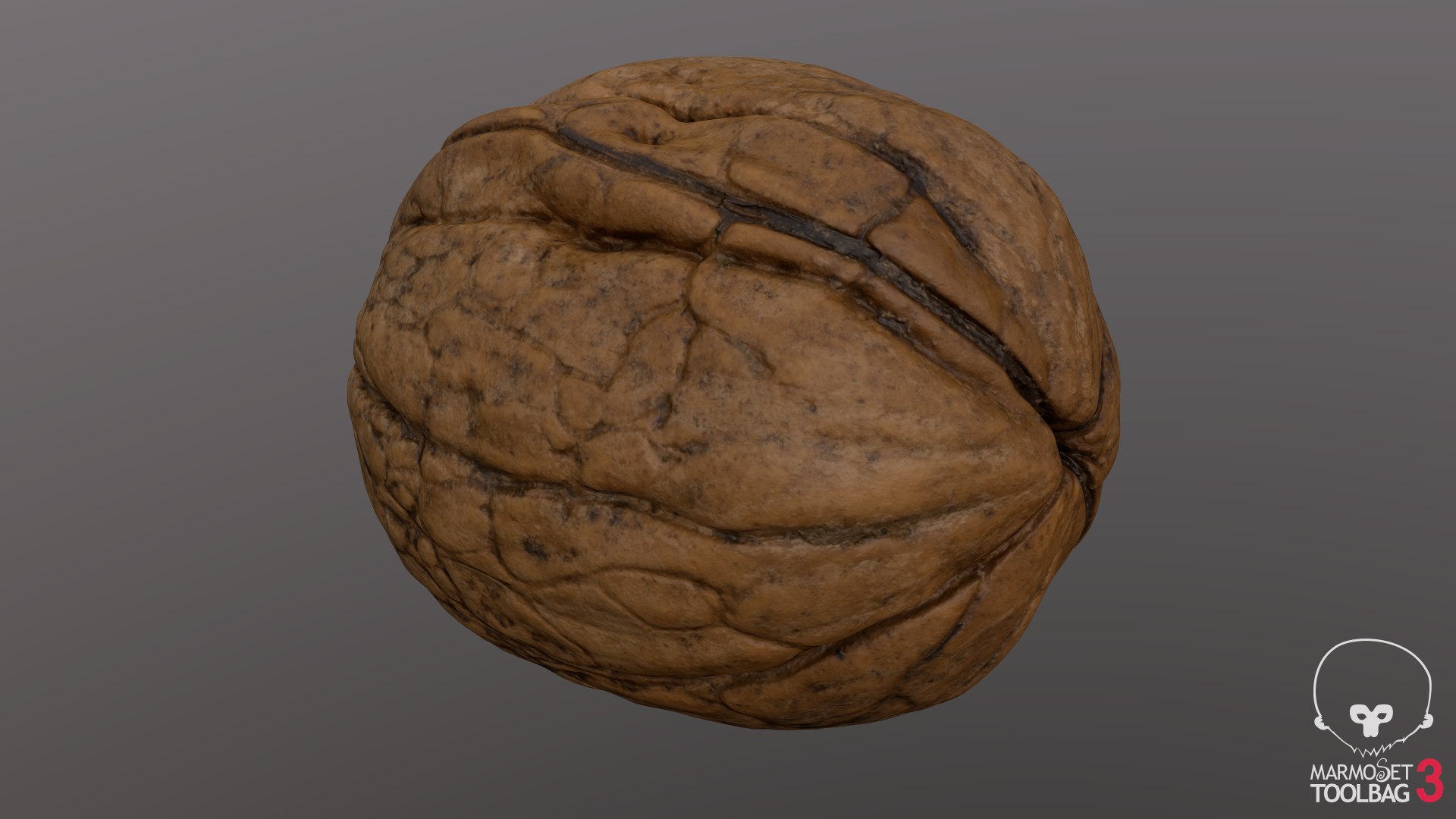 3D Walnut - TurboSquid 1976857
