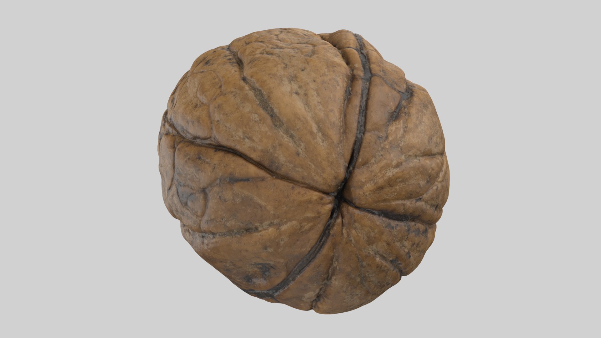 3D Walnut - TurboSquid 1976857
