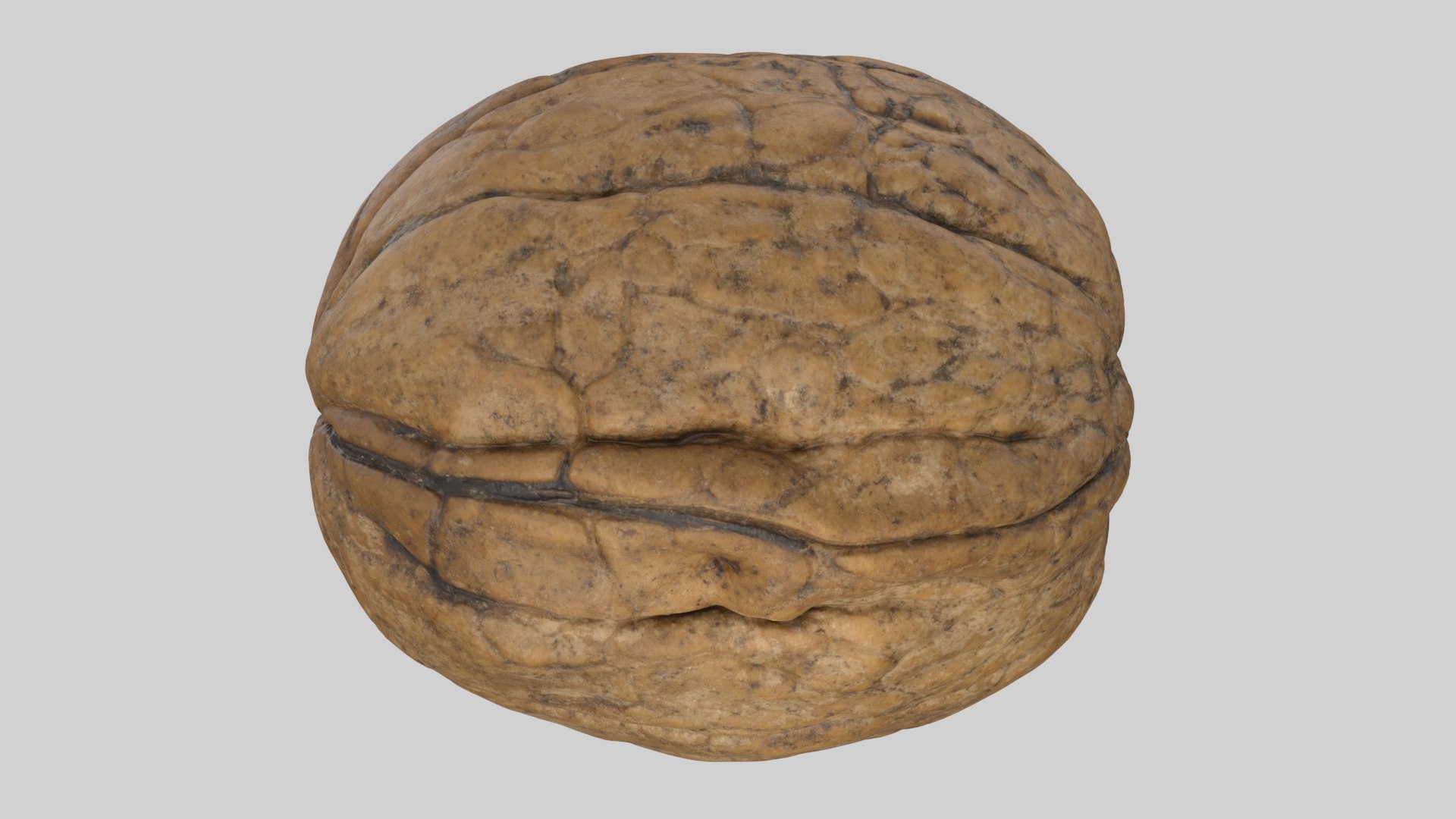 3D Walnut - TurboSquid 1976857