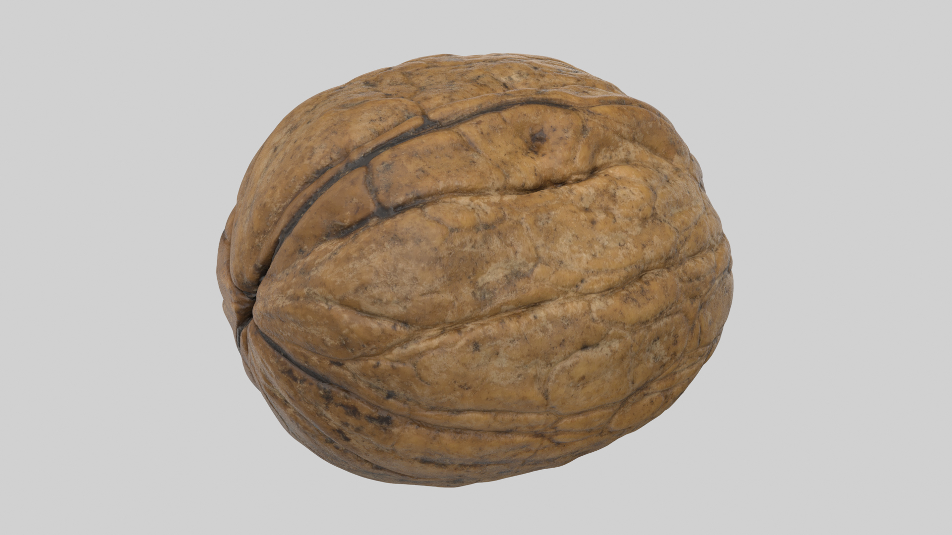 3D Walnut - TurboSquid 1976857