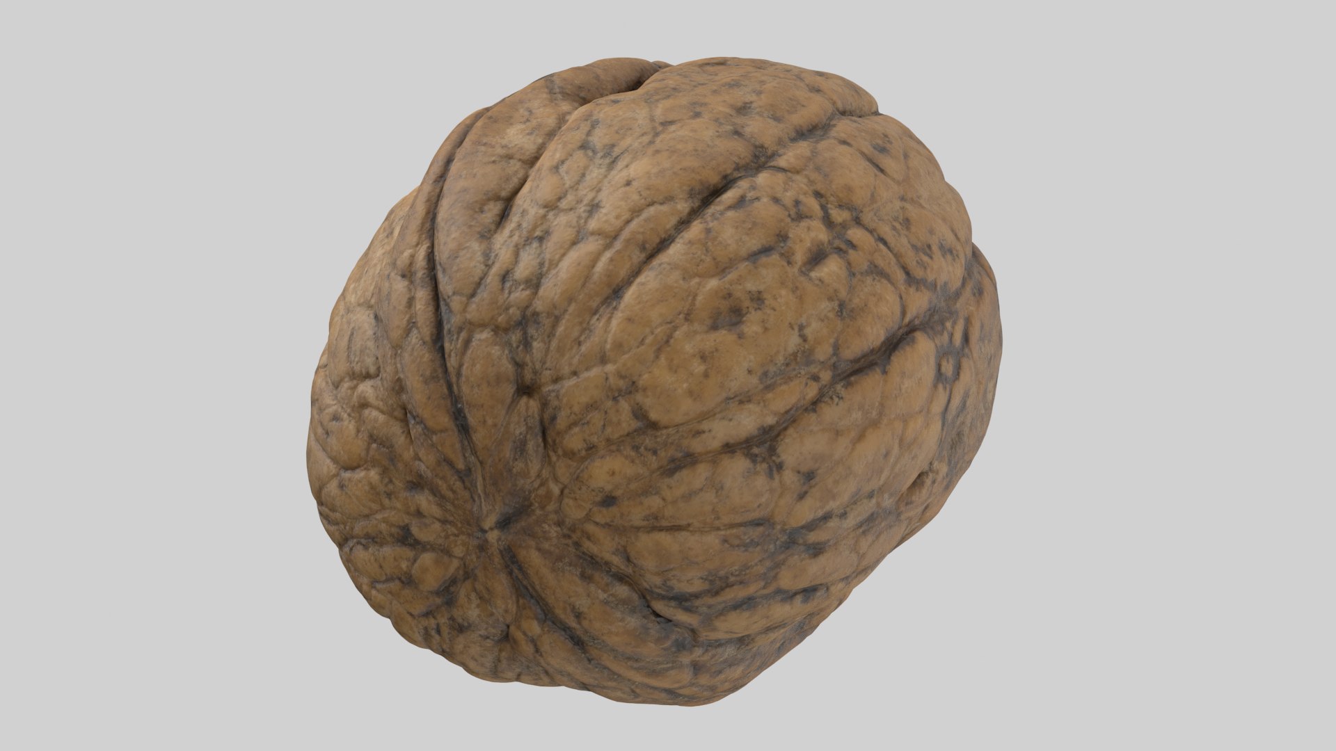 3D Walnut - TurboSquid 1976857