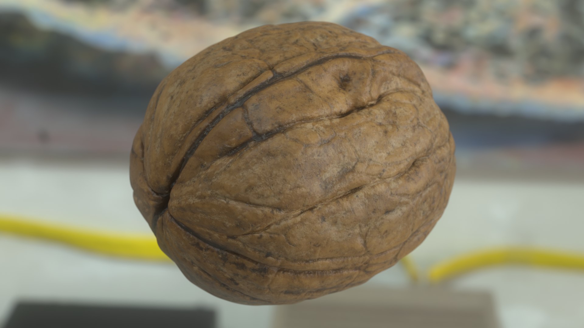 3D Walnut - TurboSquid 1976857