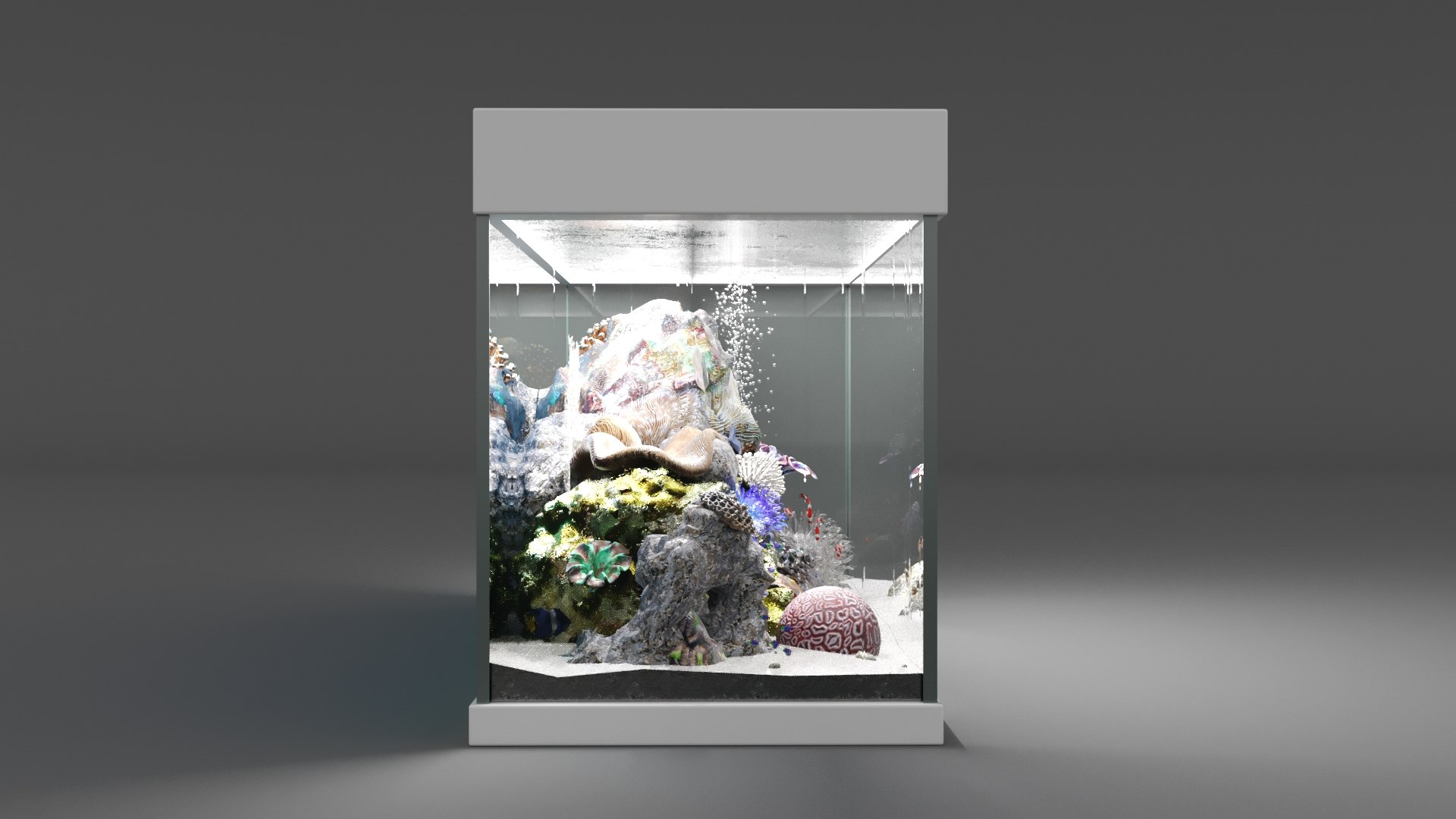 Compact Home Aquarium - Miniature Aquatic Ecosystem Model - 1 3D Model ...