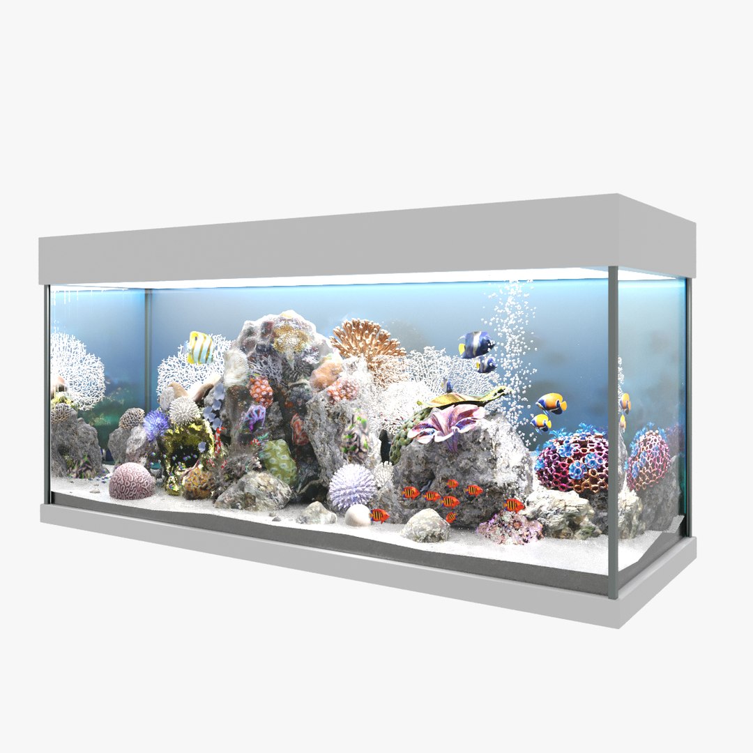 Compact Home Aquarium - Miniature Aquatic Ecosystem Model 1 3D Model ...