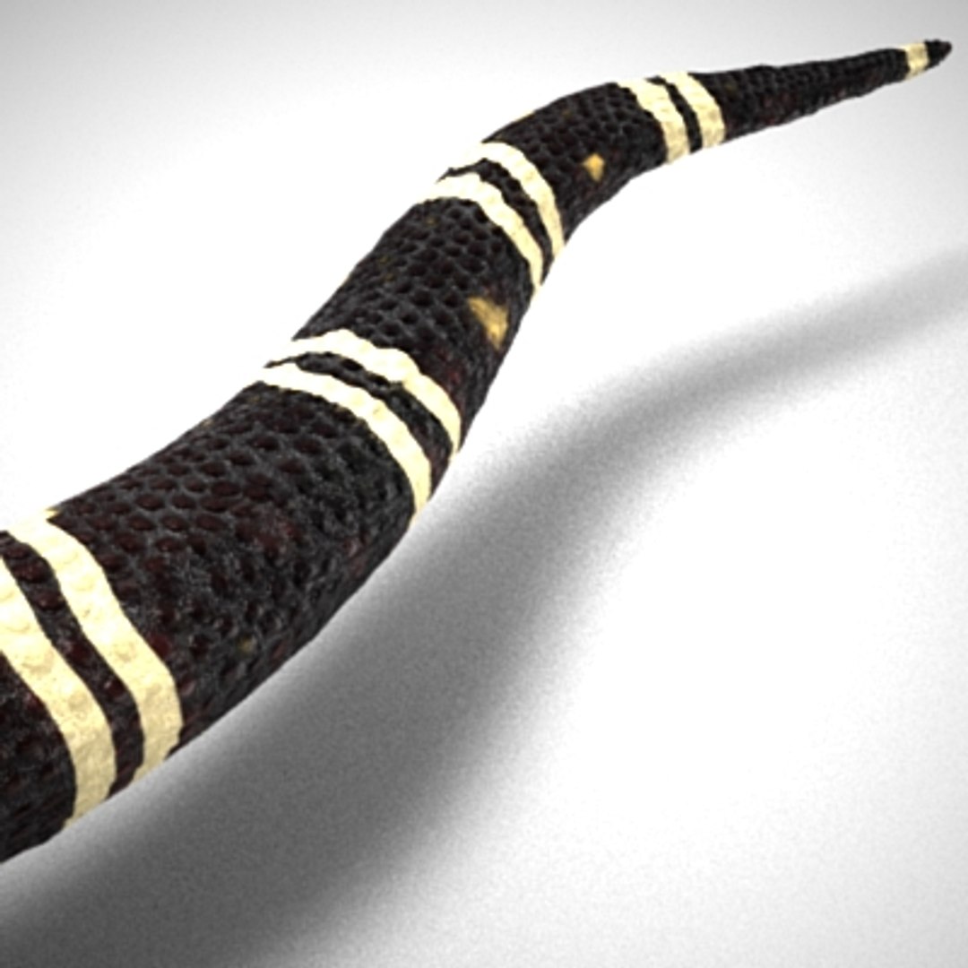 Beaded Lizard 3d Model